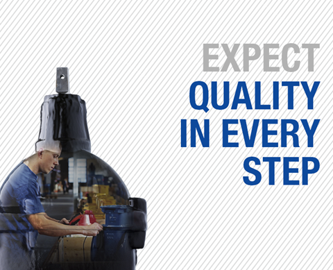 Expect Solutions, not just products